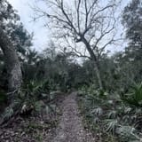 Boardman Pond Observation Platform Trail, Florida - 73 Reviews, Map ...