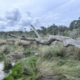 Boardman Pond Observation Platform Trail, Florida - 73 Reviews, Map ...