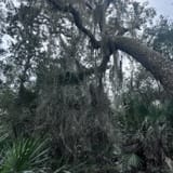 Boardman Pond Observation Platform Trail, Florida - 73 Reviews, Map ...