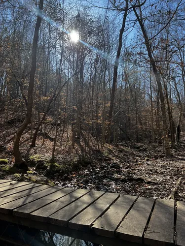 Best Hikes and Trails in Duke Forest | AllTrails