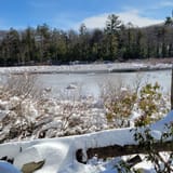 Pine Swamp Loop, New York - 1,220 Reviews, Map | AllTrails