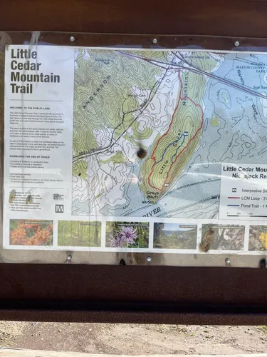 Best Hikes and Trails in Little Cedar Mountain Small Wild Area | AllTrails