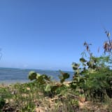 Angelito Trail, East Region, Puerto Rico - 656 Reviews, Map | AllTrails