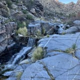Pima Canyon Trail, Arizona - 2,580 Reviews, Map | AllTrails