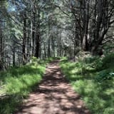 Norrie Point Trail, New York - 782 Reviews, Map | AllTrails