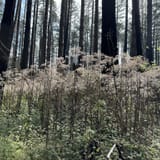 Norrie Point Trail, New York - 817 Reviews, Map | AllTrails