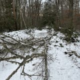 Farmsite Simmons Pond Loop, Rhode Island - 646 Reviews, Map | AllTrails