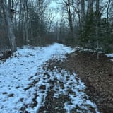 Farmsite Simmons Pond Loop, Rhode Island - 646 Reviews, Map | AllTrails