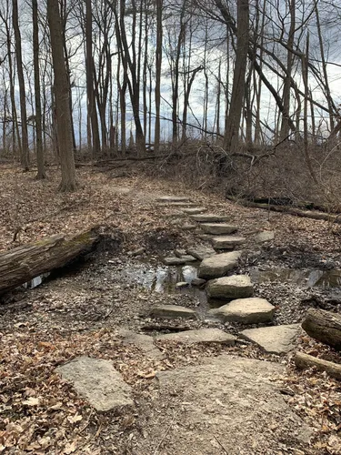 Best Hikes and Trails in Sweet Arrow Reserve | AllTrails