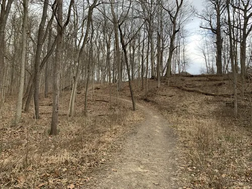 Best Hikes and Trails in Sweet Arrow Reserve | AllTrails