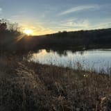 Bridge Loop Trail and Lake Loop Trail, Georgia - 939 Reviews, Map ...