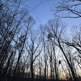 Bridge Loop Trail and Lake Loop Trail, Georgia - 840 Reviews, Map ...