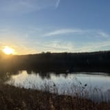 Bridge Loop Trail and Lake Loop Trail, Georgia - 840 Reviews, Map ...