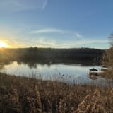 Bridge Loop Trail and Lake Loop Trail, Georgia - 840 Reviews, Map ...