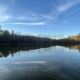Bridge Loop Trail and Lake Loop Trail, Georgia - 840 Reviews, Map ...