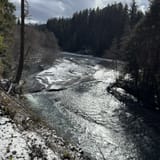 Skookum Flats Trail, Washington - 981 Reviews, Map | AllTrails