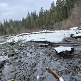 Skookum Flats Trail, Washington - 995 Reviews, Map | AllTrails