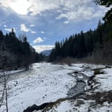 Skookum Flats Trail, Washington - 995 Reviews, Map | AllTrails