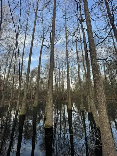 Best Hikes and Trails in Alabama Nature Center | AllTrails