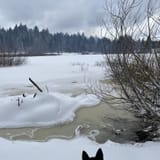 Spooner Lake Trail, Nevada - 1,750 Reviews, Map | AllTrails