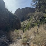Soledad Canyon Loop, New Mexico - 1,287 Reviews, Map | AllTrails