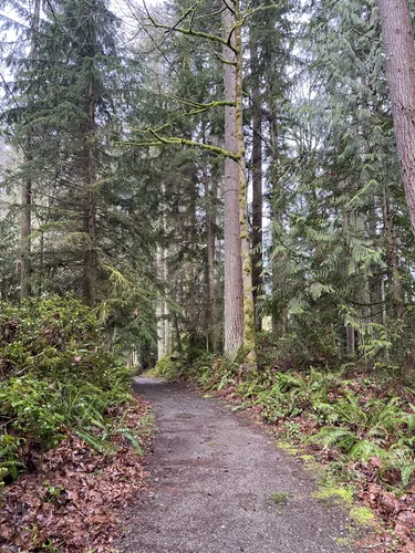 Best Easy Trails in Redmond Watershed Preserve | AllTrails