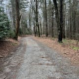 Cone Manor, Bass Lake, and The Maze Loop, North Carolina - 1,419 ...