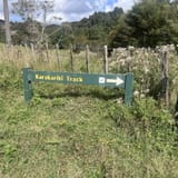KaraKariki Falls Track, Waikato, New Zealand - 45 Reviews, Map | AllTrails