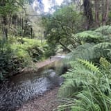 KaraKariki Falls Track, Waikato, New Zealand - 40 Reviews, Map | AllTrails