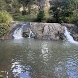 KaraKariki Falls Track, Waikato, New Zealand - 45 Reviews, Map | AllTrails