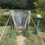 KaraKariki Falls Track, Waikato, New Zealand - 45 Reviews, Map | AllTrails