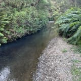 KaraKariki Falls Track, Waikato, New Zealand - 45 Reviews, Map | AllTrails