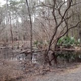 Burroughs Park Eastern Trail Loop, Texas - 799 Reviews, Map | AllTrails