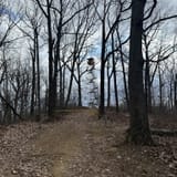Day Hike Trail, Copperhead Fire Tower, and Bear Lake, Ohio - 31 Reviews ...