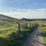 Quail Loop Trail, California - 1,692 Reviews, Map | AllTrails