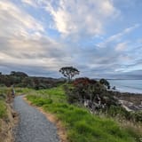Waipu Coastal Walkway, Northland, New Zealand - 149 Reviews, Map ...
