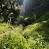 Beaudry Loop, California - 4,850 Reviews, Map | AllTrails