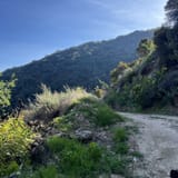 Beaudry Loop, California - 4,850 Reviews, Map | AllTrails
