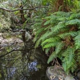 The Canyon (Lorne Waterfalls Circuit), Victoria, Australia - 627 ...
