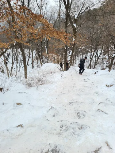 10 Best Views Trails in Gwanak-gu | AllTrails