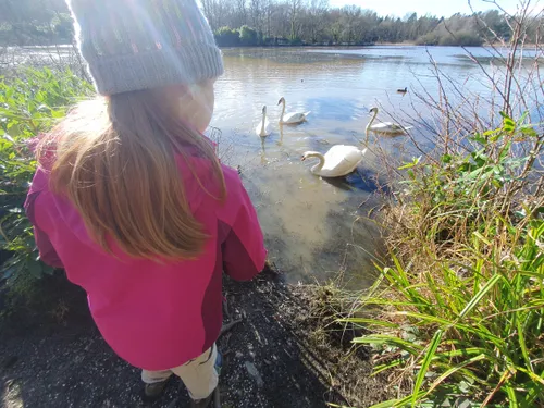 Best Hikes and Trails in Stover Park | AllTrails