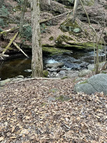 Best Hikes and Trails in Closter Nature Center | AllTrails