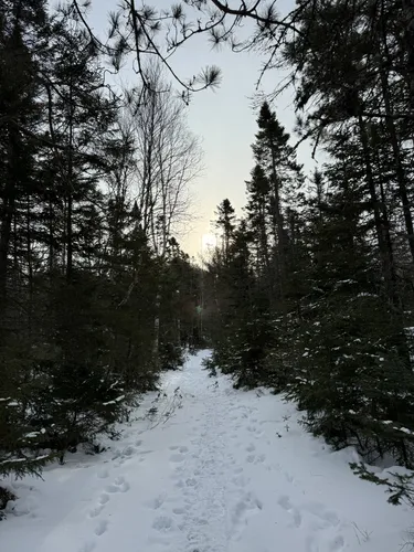 Best Trail Running Trails in Debert | AllTrails
