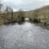 Romaldkirk Circular, County Durham, England - 91 Reviews, Map | AllTrails