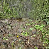 The Citadel, Utah - 235 Reviews, Map | AllTrails