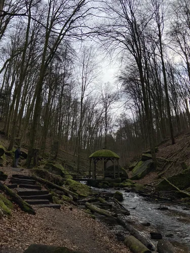 Best Camping Trails in Schopp | AllTrails