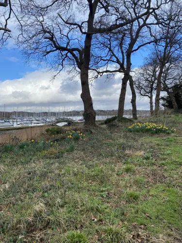 Best Hikes and Trails in Hook with Warsash Local Nature Reserve | AllTrails