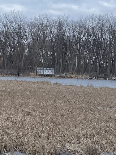 Best Hikes and Trails in Tifft Nature Preserve | AllTrails