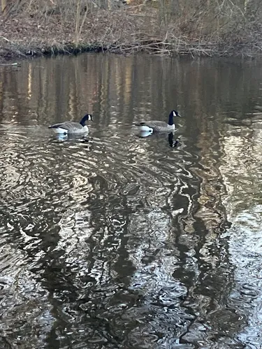 Best Hikes and Trails in Closter Nature Center | AllTrails