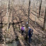 Millennium Trail, Kentucky - 449 Reviews, Map | AllTrails